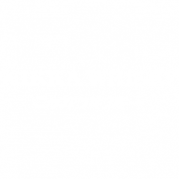 Whisky&Co Store in Lisbon